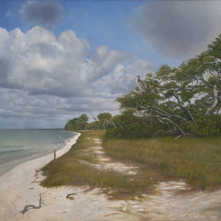 Florida’s Forgotten Coast – Keith Martin Johns