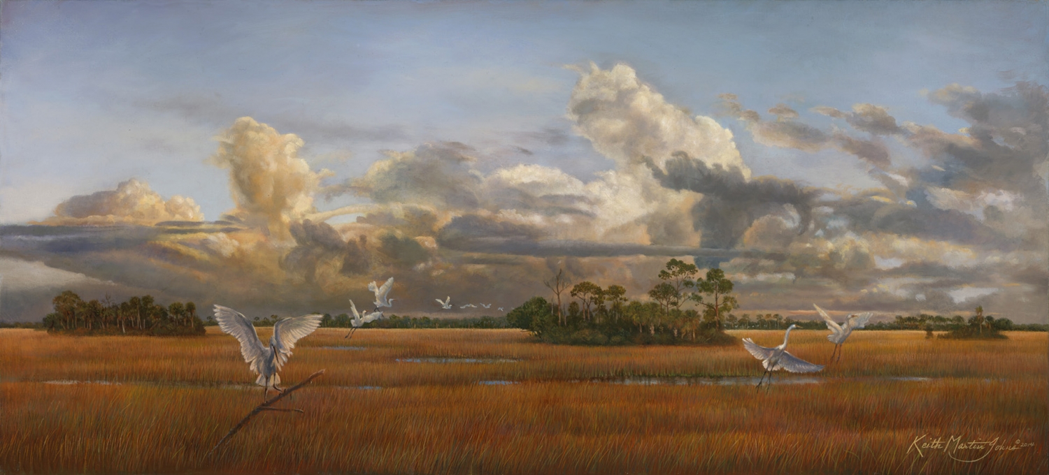 Florida Savanah – Keith Martin Johns